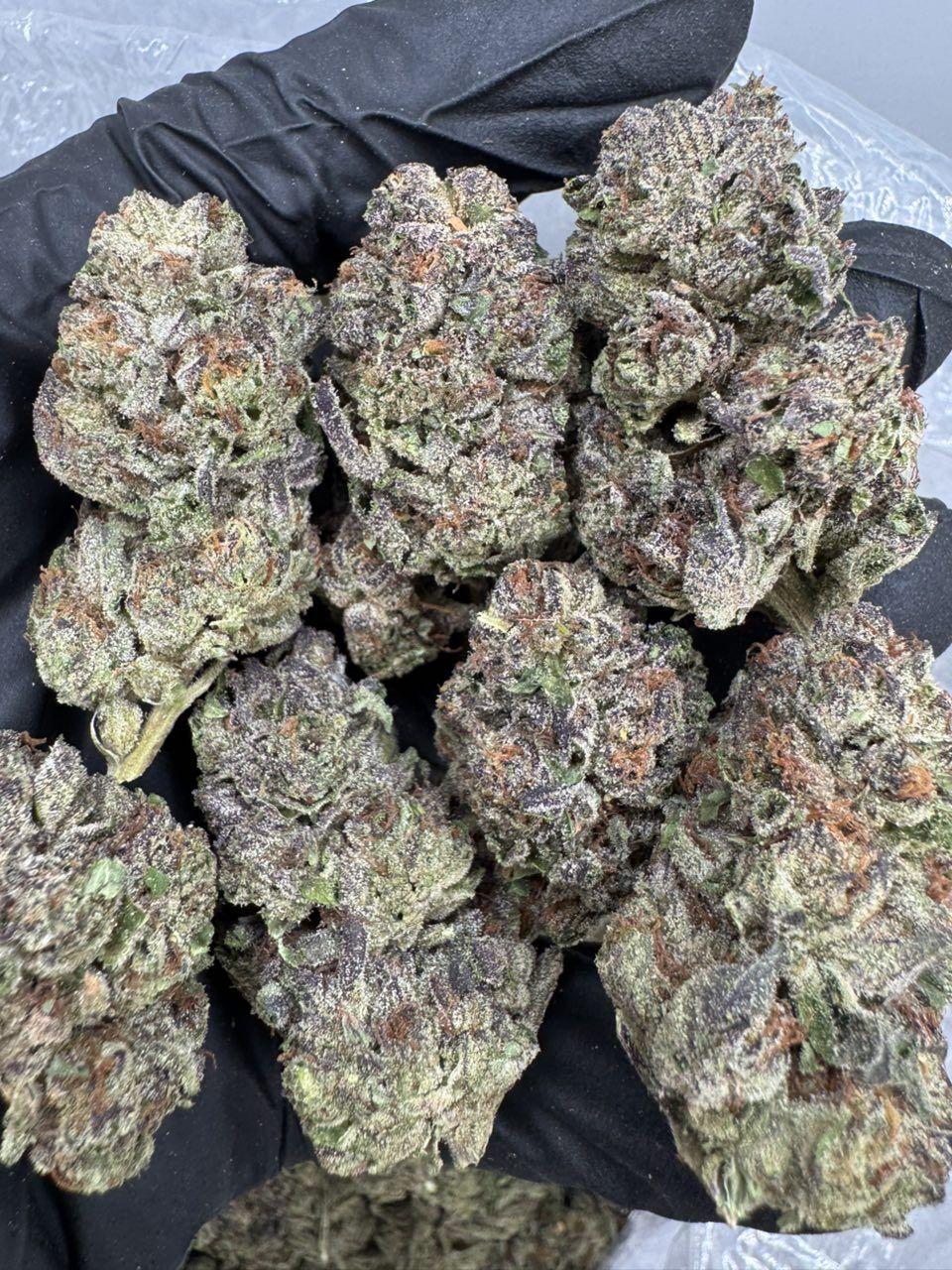 Triangle Kush Strain – Potent Indica-Dominant OG with Florida Roots