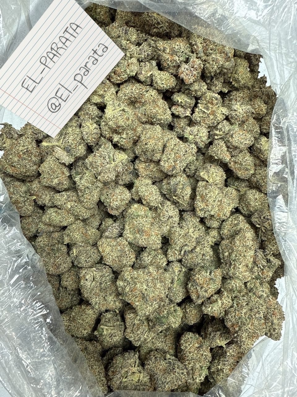 MANGO GELATO